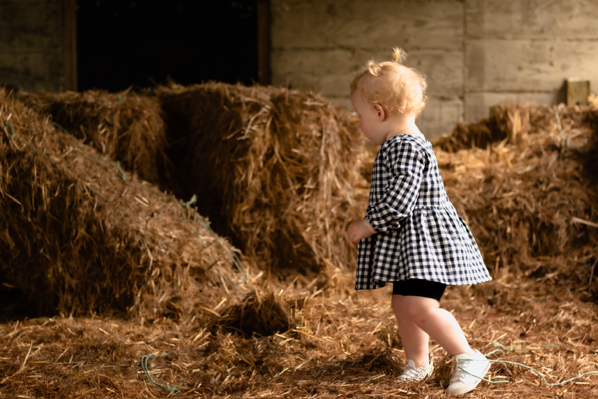 Collections - Jubee and Co